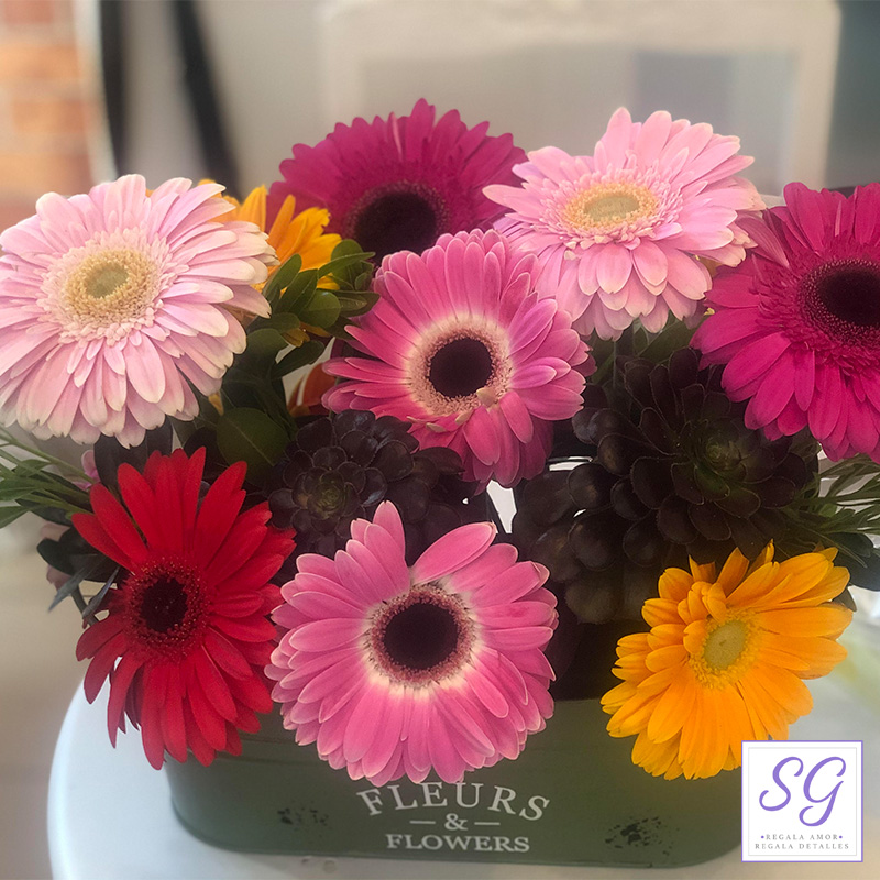 Seasonal 11 – Simplemente Gracias