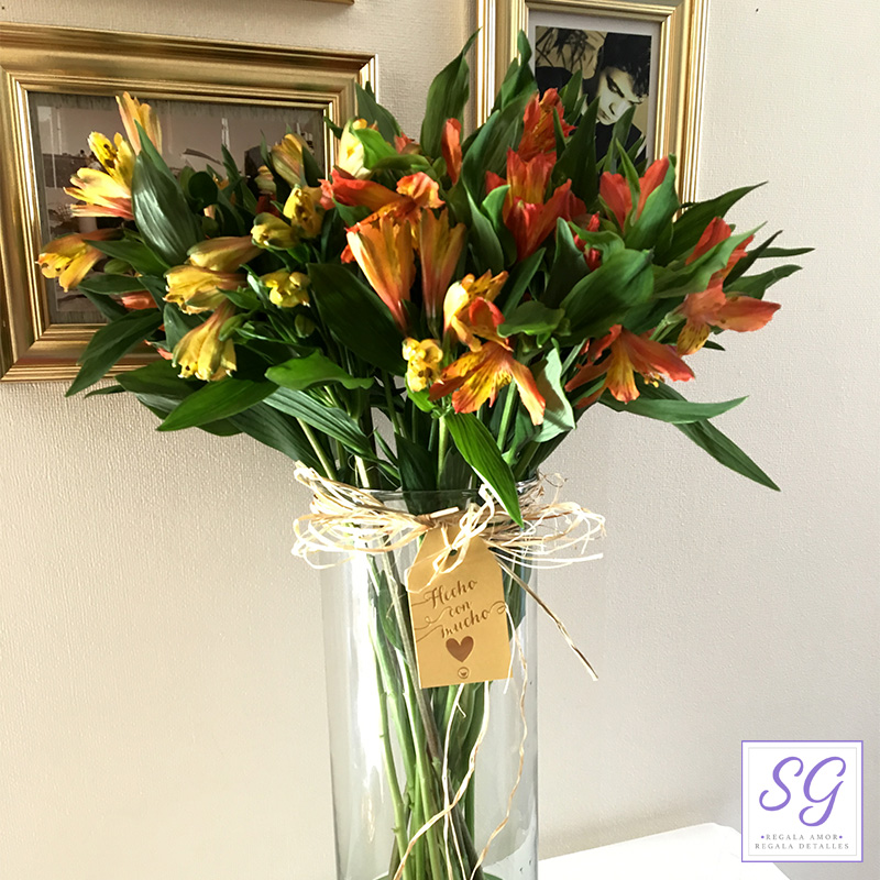 Premium 6 – Simplemente Gracias