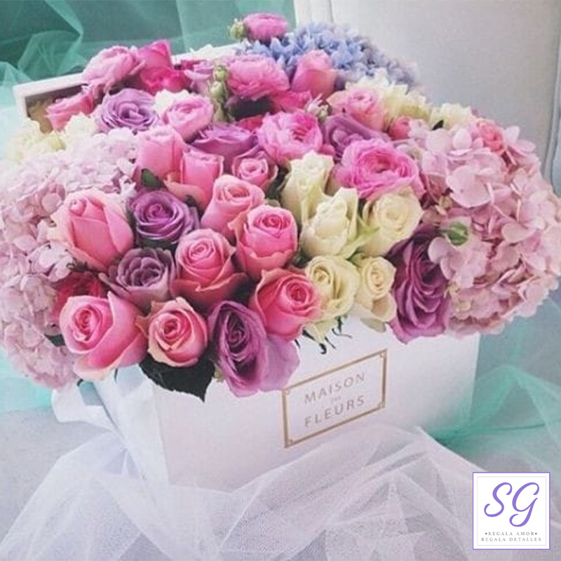 Premium 7 – Simplemente Gracias