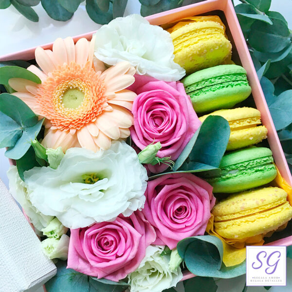 Special 15 – Simplemente Gracias